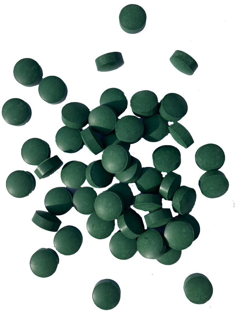 Chlorella Earthrise Japan 5000 T 1000g in a refill bag | Pro Vita AKTIV ...